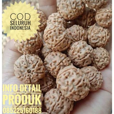 Jual Biji JENITRI Super Shopee Indonesia