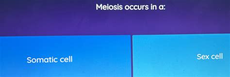 Solved Meiosis Occurs In A Somatic Cell Sex Cell Biology