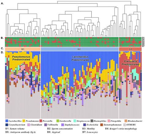 Bacterial Communities In Semen Samples A Hierarchical Clustering Was Download Scientific