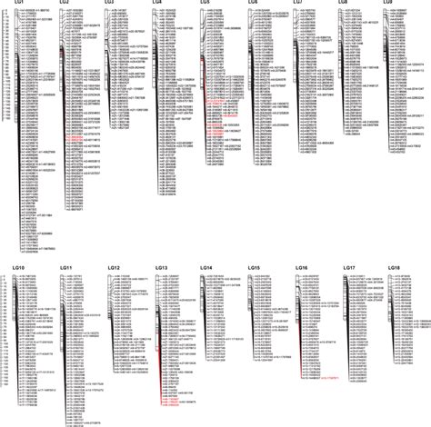 A Genetic Linkage Map Based On A F2 Offspring Bred From Im Line And