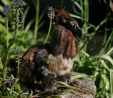 Last Alliance Studios Introducing Rigel The Pygmy Gryphon