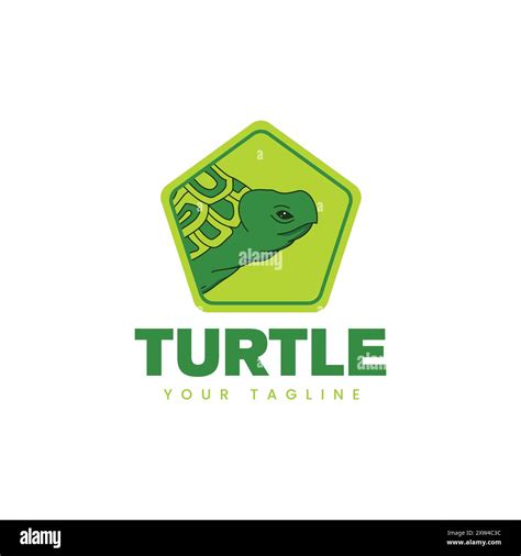Painted Turtle Logo Western Painted Turtle