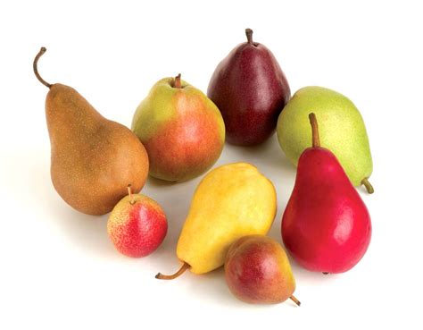 The Differences In Pear Varieties Stemilt Growers