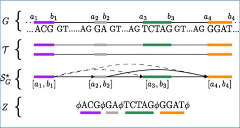 asgal aligning rna seq data to a splicing graph to detect novel