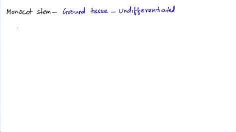 SOLVED Cortex And Pith Are Not Distinguished In A Dicot Stem B Monocot Stem C Dicot Root