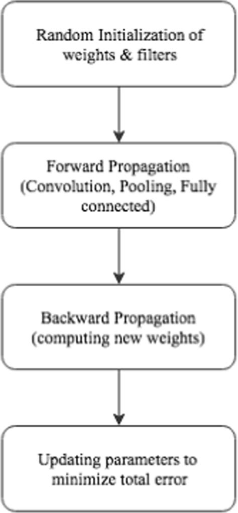 The Working Of Cnn For An Image Classification Task Download