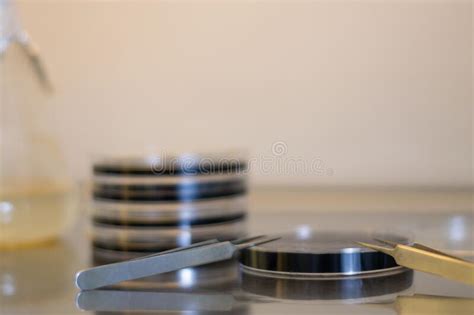 Material For A Research In Vitro Experiment Stock Image Image Of Test Biotech 209411181
