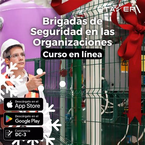 Brigadas De Seguridad En Las Organizaciones Stayver
