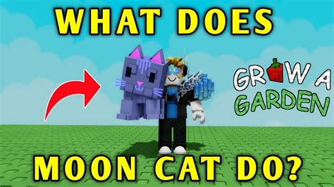 What Does Moon Cat Do In Grow A Garden | Roblox - YouTube