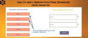 Dynamically Add Remove Form Fields Using JavaScript A5THEORY