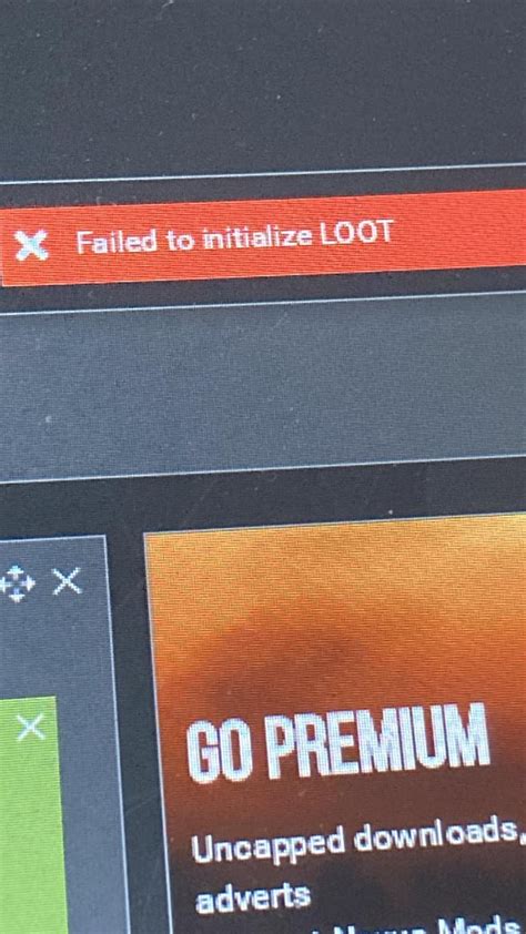 why is loot failing to initialize on vortex r skyrimmods