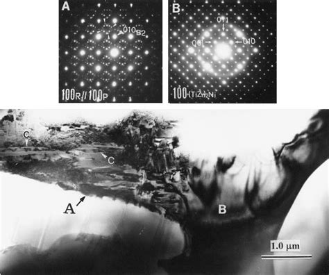 Morphology And Corresponding Diffraction Patterns Of The Coexisting
