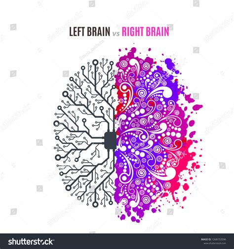 Left Right Brain Functions Concept Analytical Stock Vector Royalty