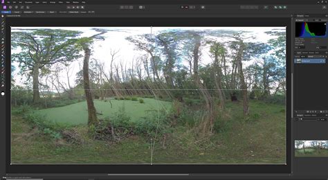 Mesh Warp Tool Edit Just One Side Of A Node Desktop Questions MacOS And Windows Affinity