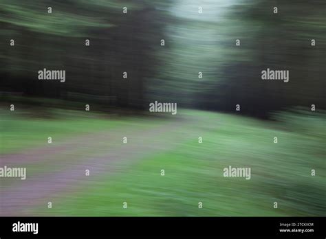 atmospheric forest path abstract structures wiping effect bulb