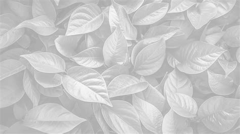 무성한 녹색의 배경은 질감 있는 잎이 많은 캔버스를 남깁니다 신선한 배경 잎 질감 식물 질감 Png 일러스트 및 이미지 에 대한 무료 다운로드 Pngtree