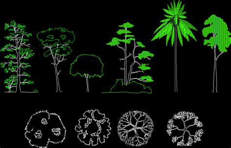 Trees 1 DWG Block For AutoCAD Designs CAD