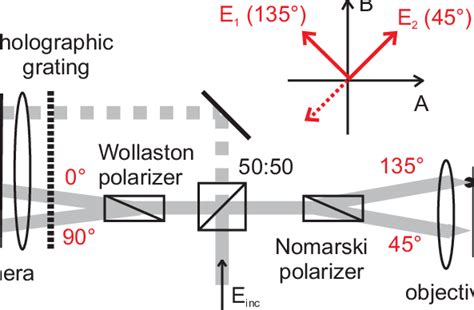 Illustration Of The Phase Sensitive Detection Principle The