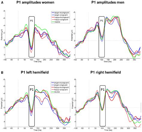 Eeg Amplitude Courses Elicited By Probe Presentation At Electrode Oz Download Scientific