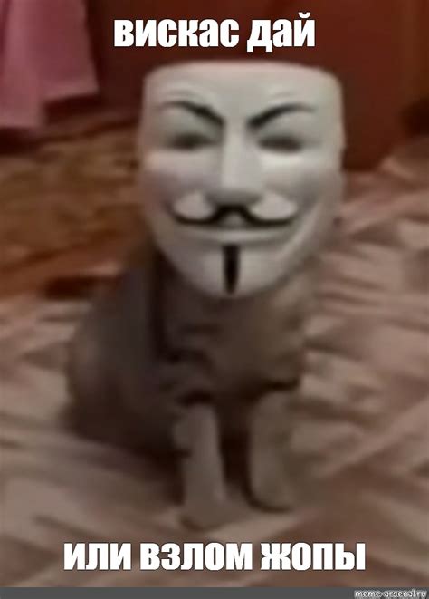 Мем вискас дай или взлом жопы Все шаблоны Meme