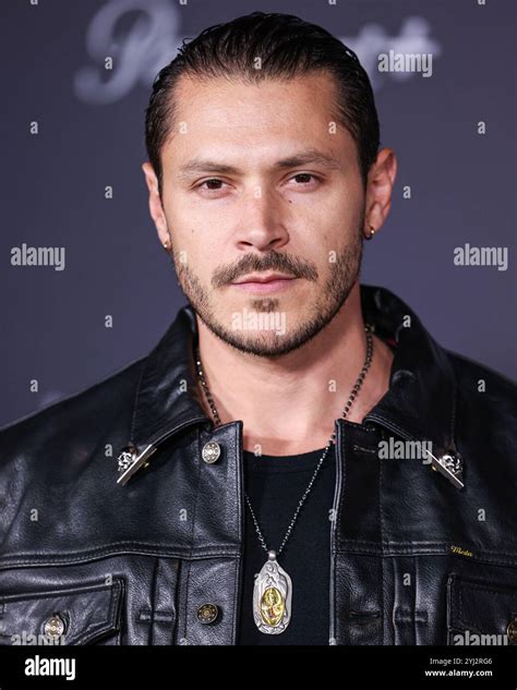 Hollywood United States 12th Nov 2024 Hollywood Los Angeles