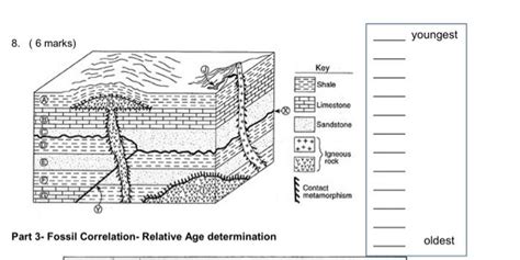 Solved 8 6 Marks Part 3 Fossil Correlation Relative Age