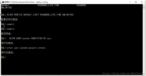 Oracle安装问题 测试连接时不成功oracle10g数据库测试不成功 Csdn博客