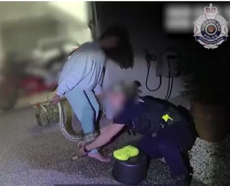 WATCH Python Wraps Itself Around Woman S Leg