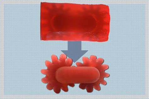 A New Light Guided 3d Printing Method Enables The Creation Of Recyclable Support Structures