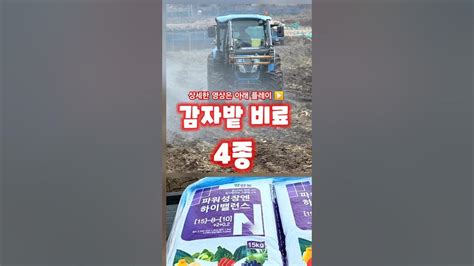 감자밭 밑거름 비료 살포 파워 성장엔 하이밸런스 하이그린 입상황산가리 입상붕사 괴산 풀뿌리농장 괴산감자 수미감자 감물감자