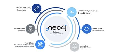 Create Design A Neo4j Database And Cypher Queries By Amirhaouara Fiverr