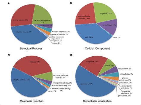 Functional Distribution And Subcellular Localization Of Lysine