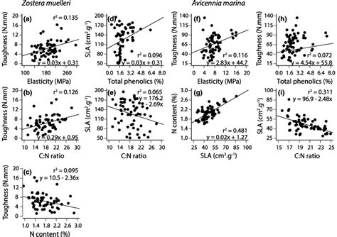 Significant Correlations Between Leaf Traits For The Seagrass Zostera