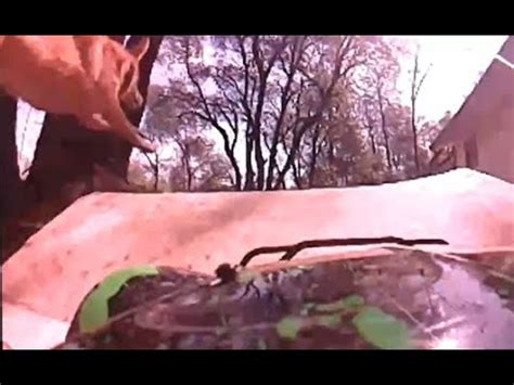 Real Time Live Video Stabilization With OpenCV WFB NG RPi Ubuntu