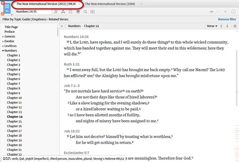 Reproducible Bug 611 Beta 3 Multiview Sometimes Disappears When