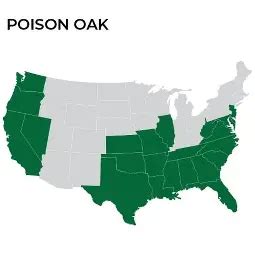 Poison Oak Hiking Guide Identify Prevent And Treat