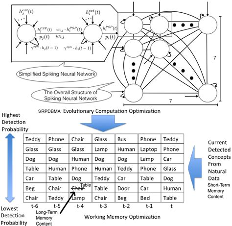 the relationship between the spiking neural network architecture with