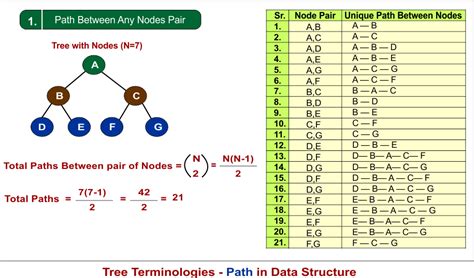 basic tree terminologies in data structure cs taleem