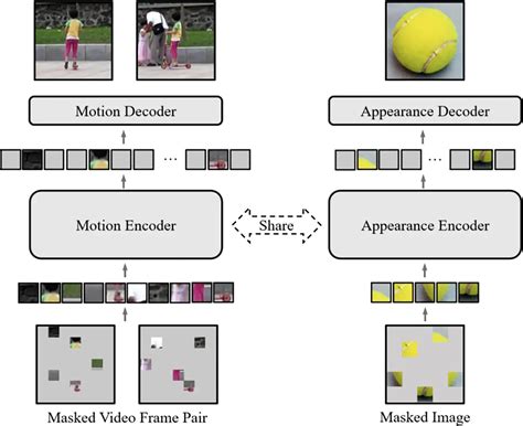 cmc free full text masked autoencoders as single object tracking