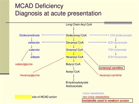 Ppt Newborn Screening For Mcadd Powerpoint Presentation Id4250360