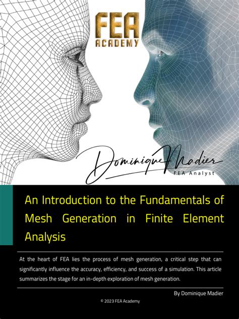 Fea Academy Mesh Generation In Finite Element Analysis Pdf Finite