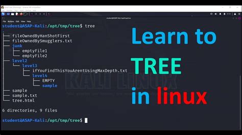 29 Options For Tree Cmd Simple Easy Demonstrations Youtube