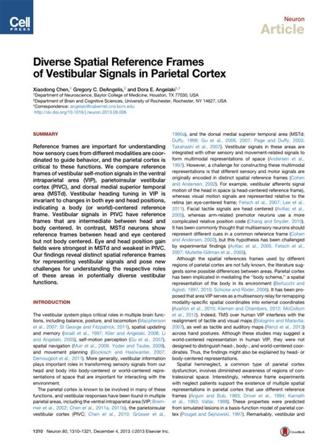 Parietal Cortex 5 Articles Pdf Vestibular System Parietal Lobe