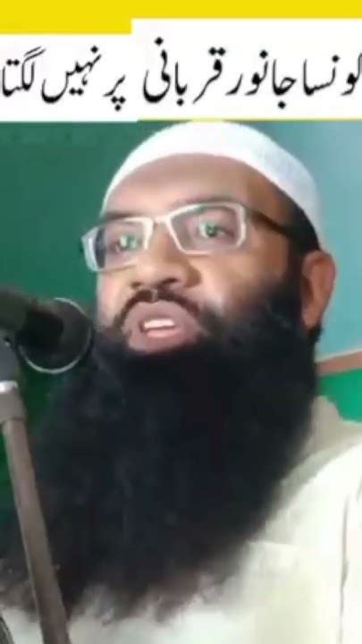 قربانی کا جانور کیسا ہو Youtube