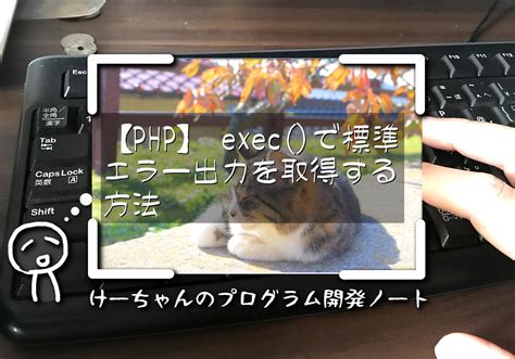 【php】 Exec で標準エラー出力を取得する方法
