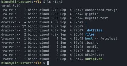 Ls Command In Linux Your Comprehensive Guide Linux Start