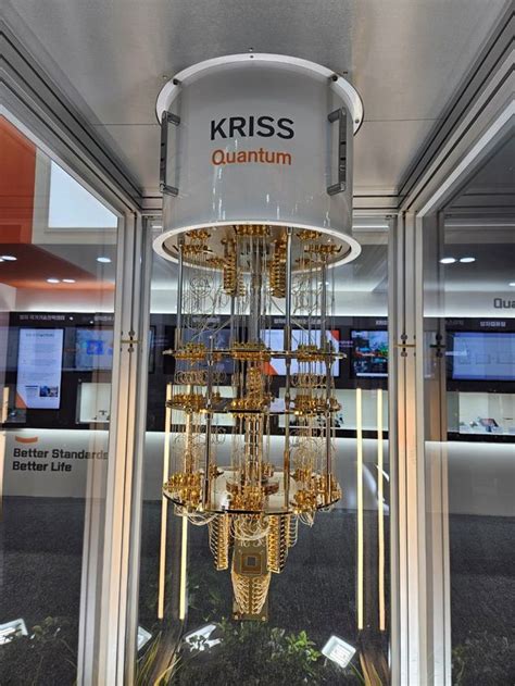 Opening Of Quantum That Did Not Cool Down Even During The Rainy Season The Worlds Best