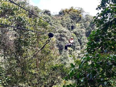 Mindo Cloud Forest Tour Review Ecuador Andean Trails
