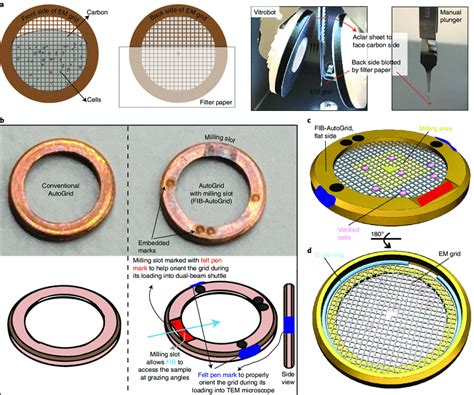Blotting And Clipping Grids Into Fib Autogrids A Cells Are