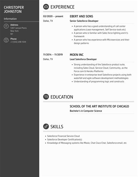 Salesforce Developer Resume Samples Velvet Jobs